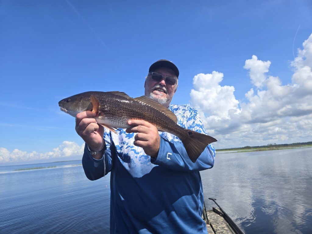 Econfina River: North Florida's Premier Outdoor Escape