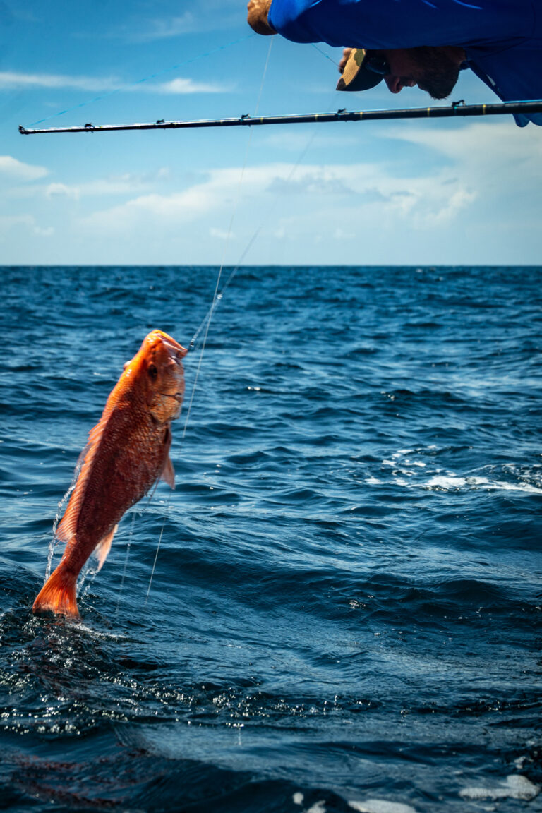 Florida Offshore Fishing Charters | Gulf Coast | Big Bend