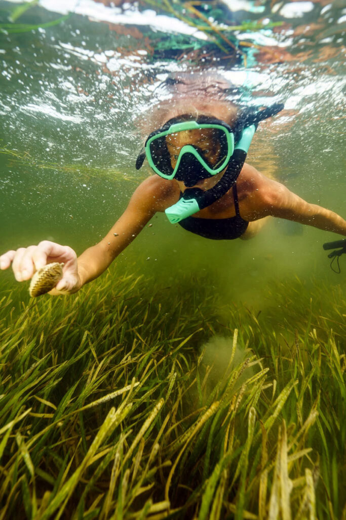 Scalloping Steinhatchee | Big Bend Guided Scallop Trips